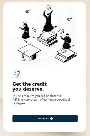 CAEL | CPL Landing Page Example-LB